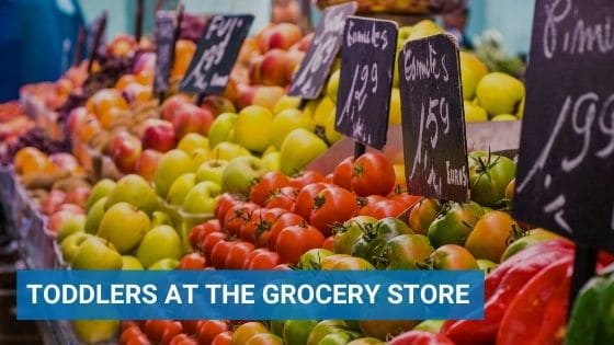 Toddlers at the Grocery Store | Hudson Montessori School Blog